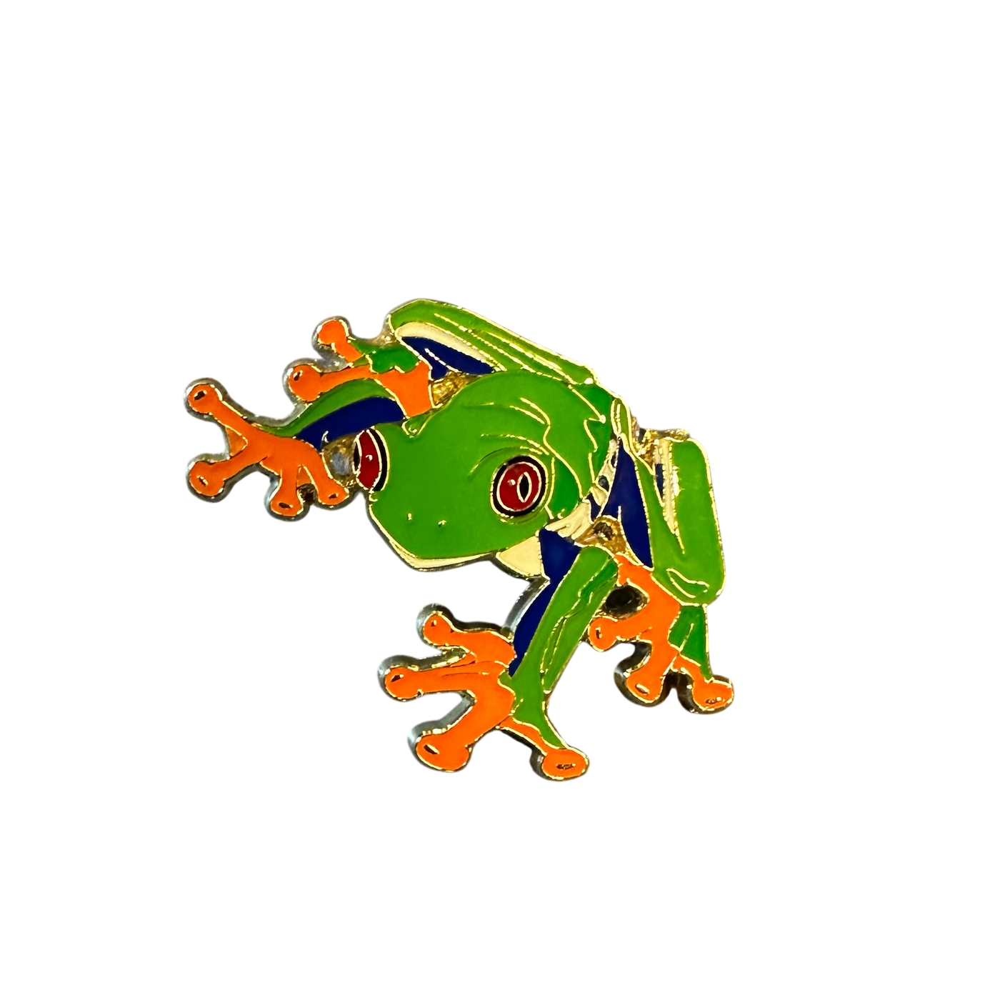 Your Premier Source for Frogs, Plants, and Terrarium Supplies – FrogDaddy