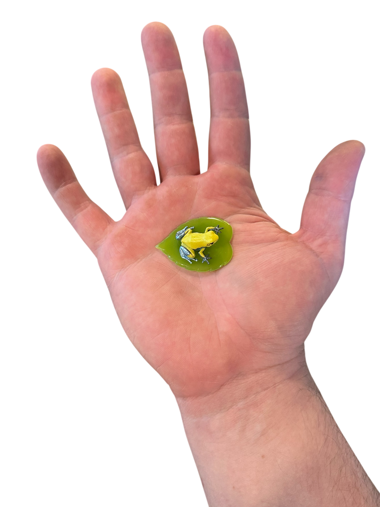 Your Premier Source for Frogs, Plants, and Terrarium Supplies – FrogDaddy