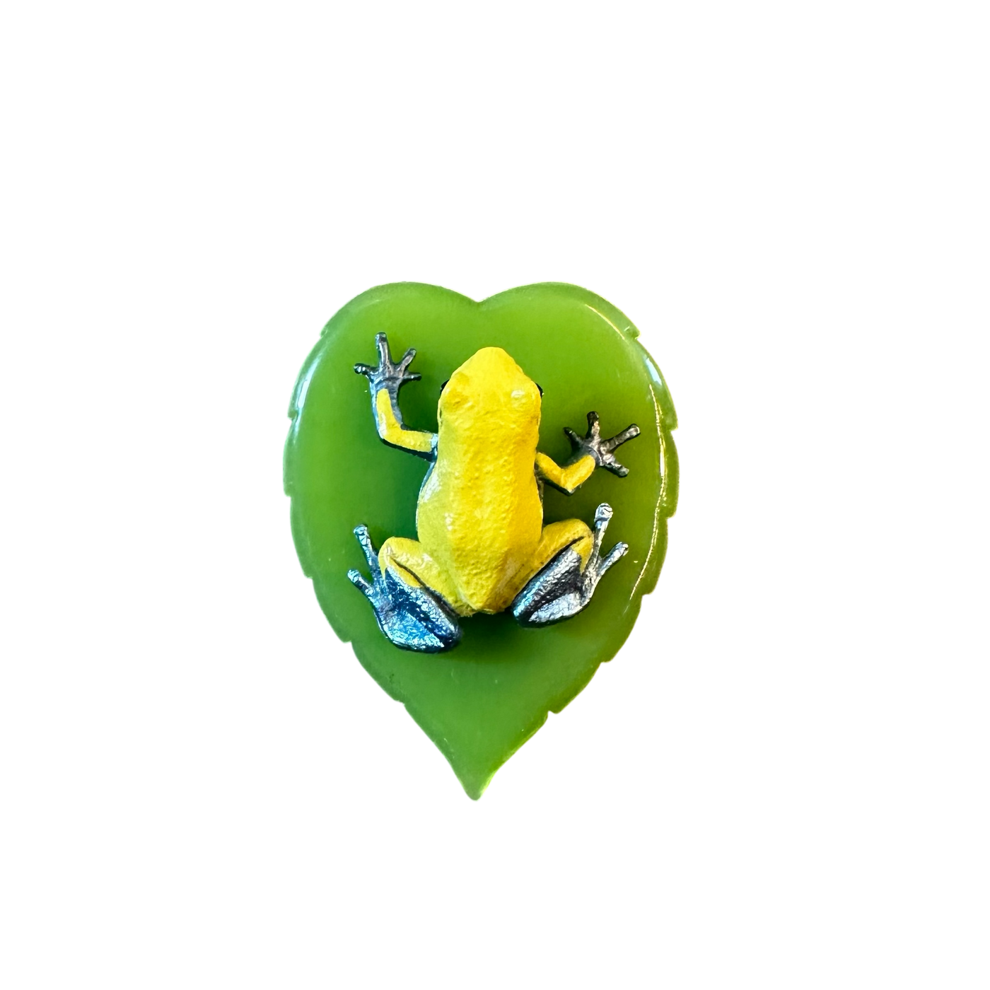 Your Premier Source for Frogs, Plants, and Terrarium Supplies – FrogDaddy
