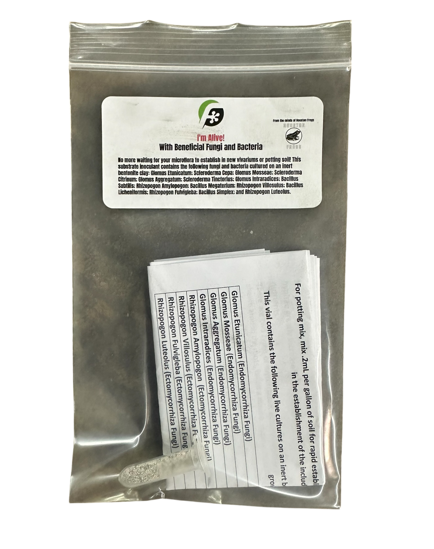 Your Premier Source for Frogs, Plants, and Terrarium Supplies – FrogDaddy