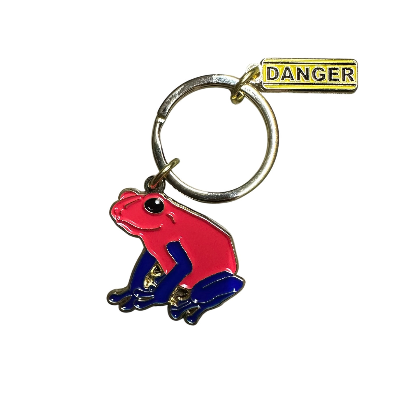 Your Premier Source for Frogs, Plants, and Terrarium Supplies – FrogDaddy