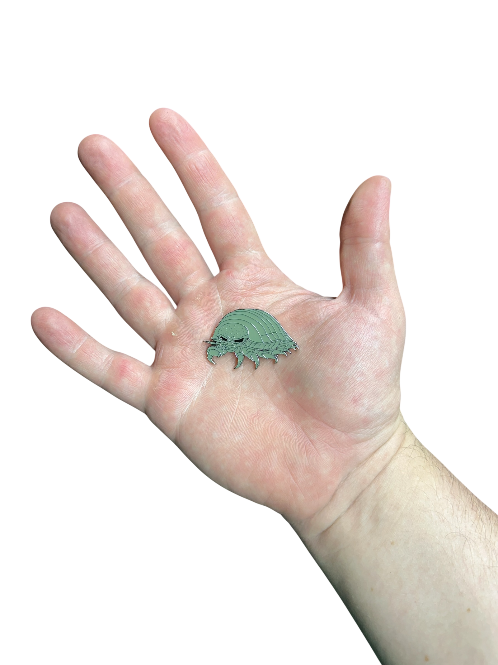 Your Premier Source for Frogs, Plants, and Terrarium Supplies – FrogDaddy