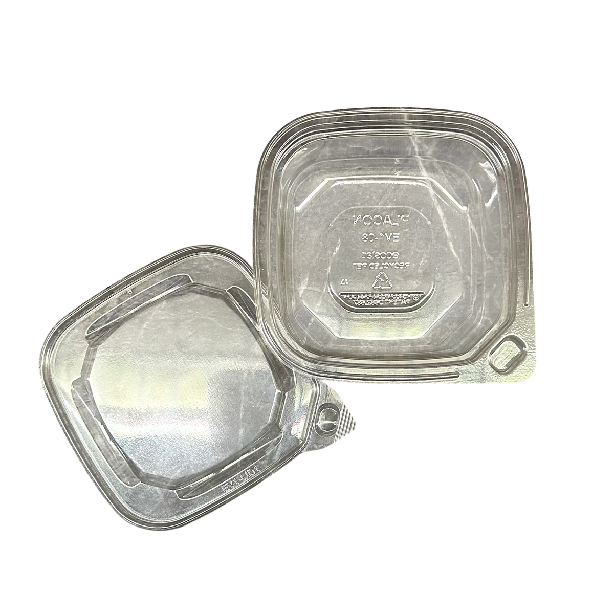 8 oz, Square Springtail Snap Cup with Lid – FrogDaddy