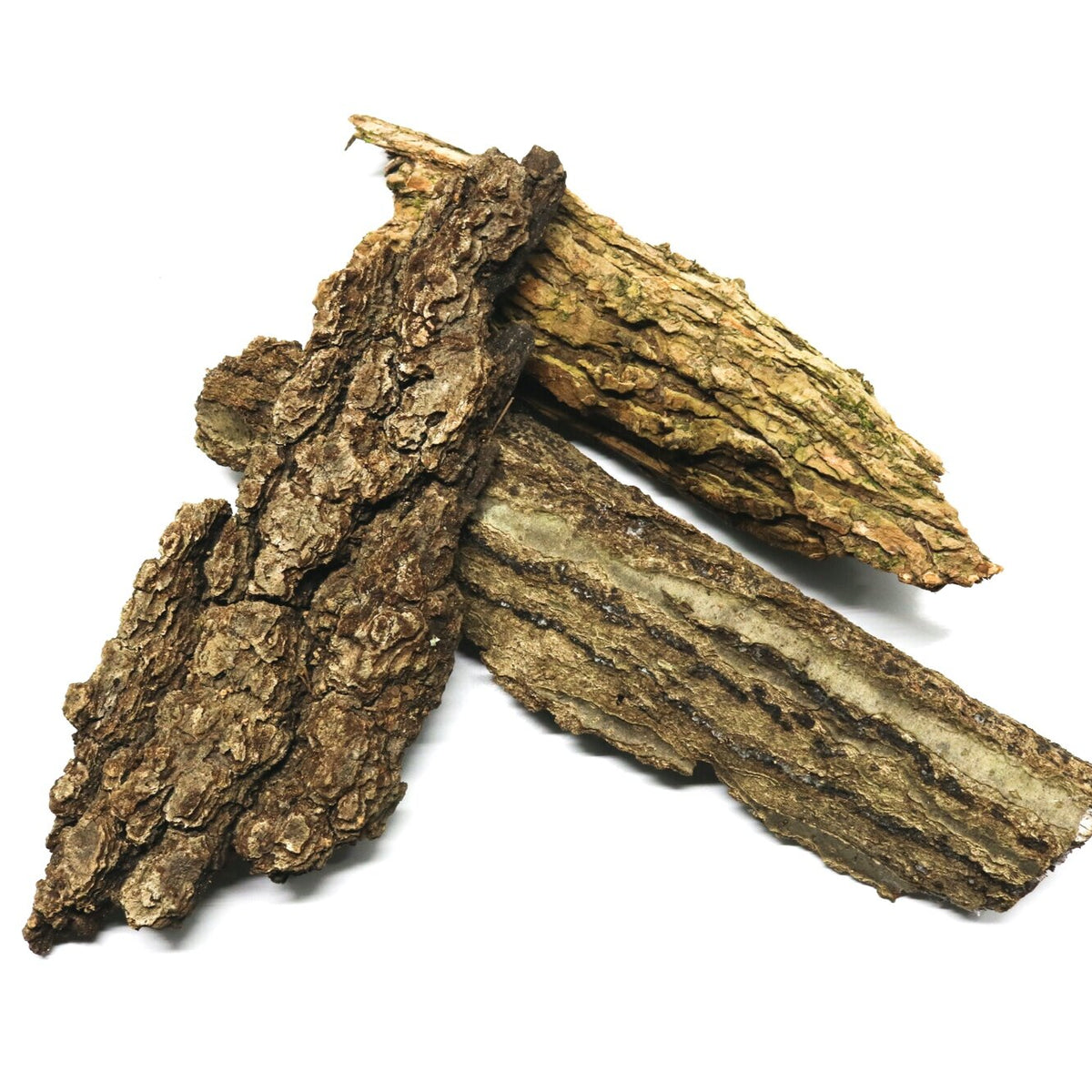 Variety Pack Bark Slabs – FrogDaddy