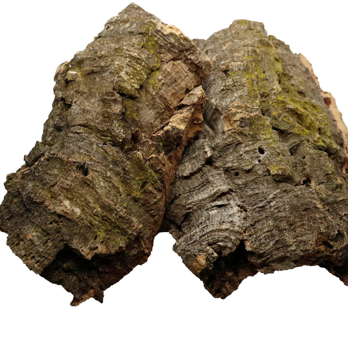 Cork Bark Slabs – FrogDaddy