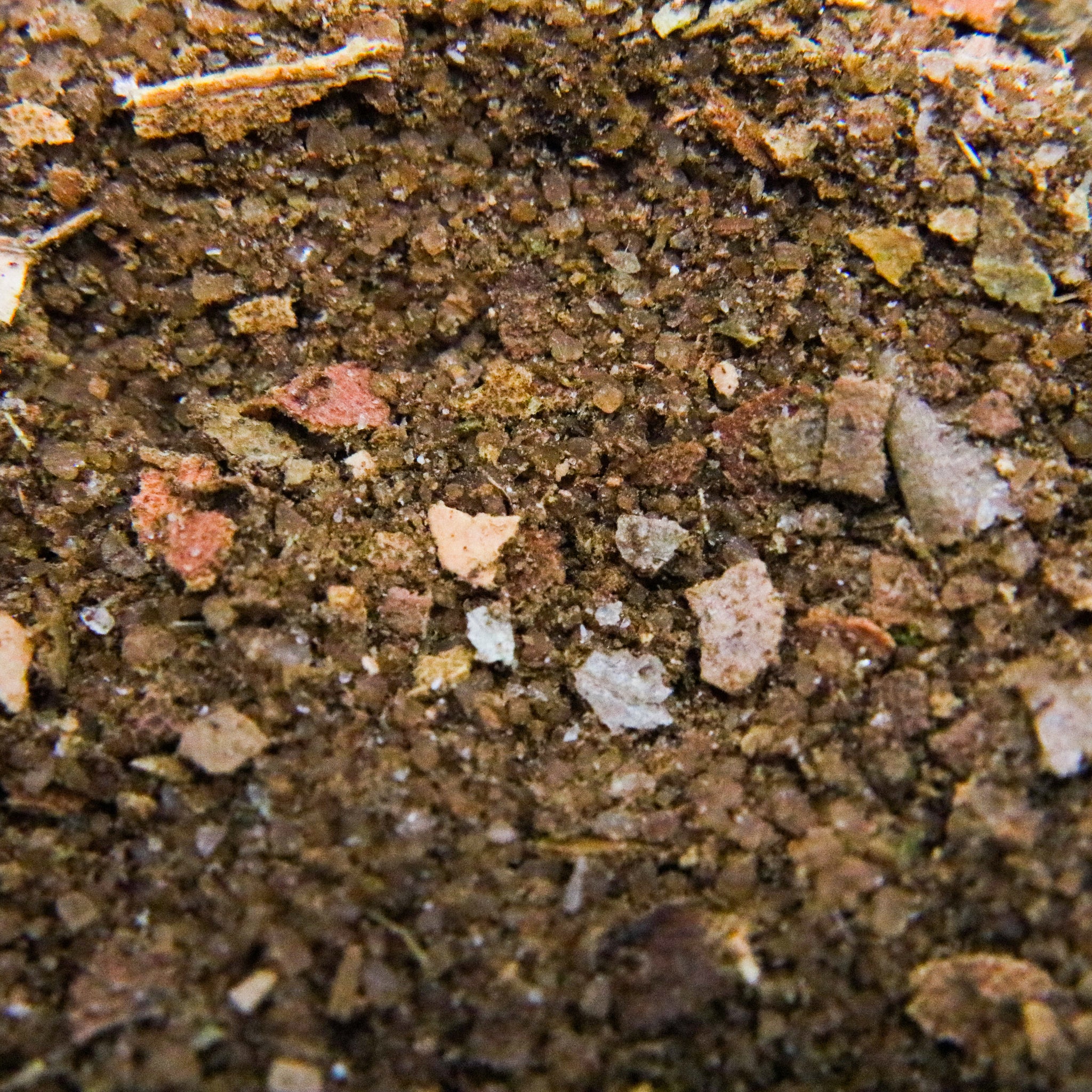 Leaf Litter — FrogDaddy