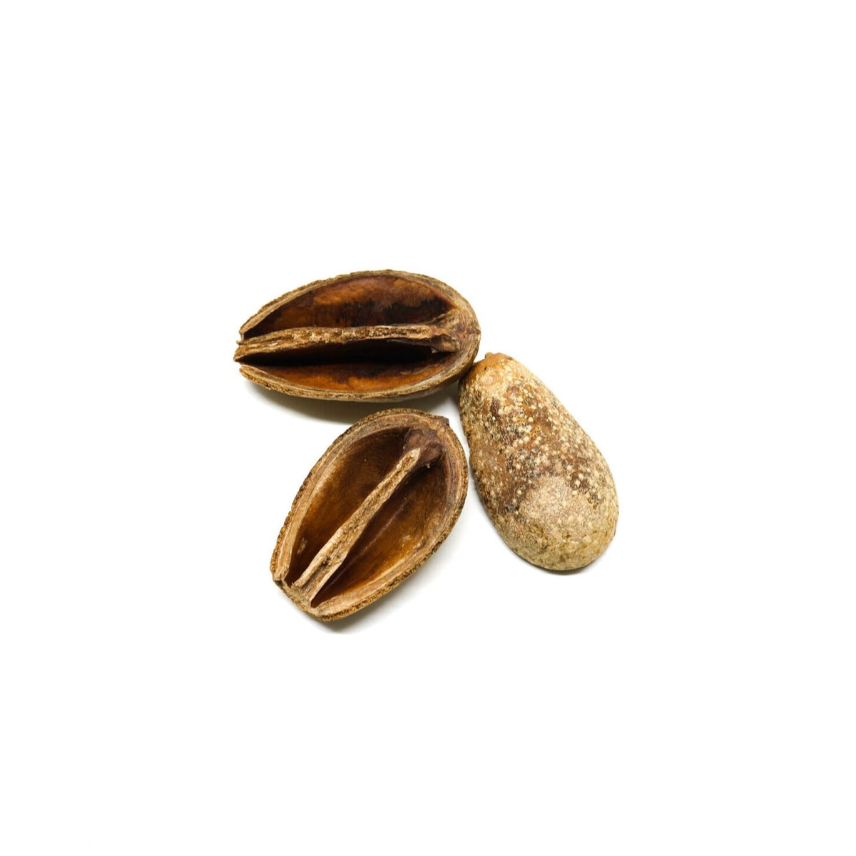 Pear Pod – FrogDaddy